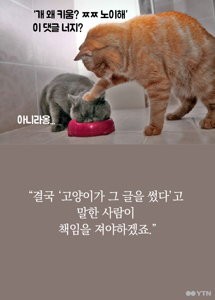 판사님 이 글은 고양이가 오픈이슈갤러리 인벤