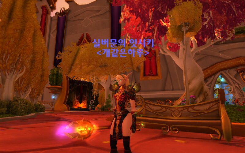 월드 오브 워크래프트 인벤 신도레이 룩 마법사 와우 인벤 커스터마이징 And형상 변환 게시판