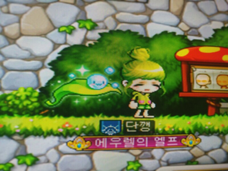 메이플스토리 인벤 저렴하게 부캐 초록 코디 완료 메이플스토리 인벤 자유게시판 구